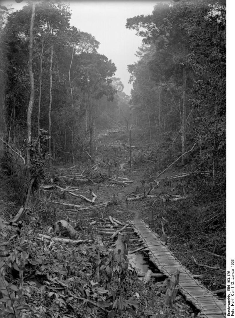 Flaggenwechsel über Neukamerun - Das Marokko-Kongo-Abkommen - Bundesarchiv
